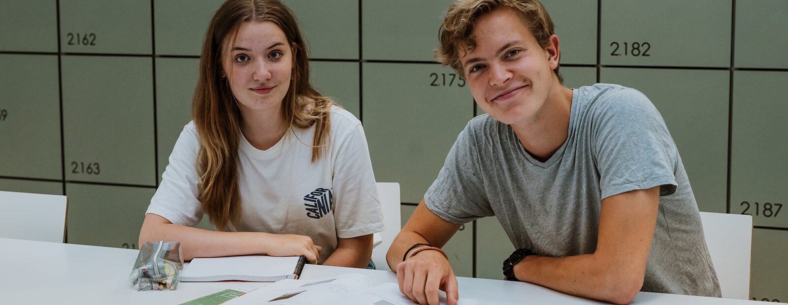 De cijfer-vereisten voor de examens | Lyceo